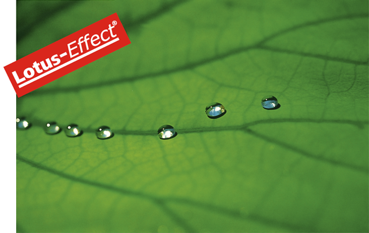 StoColor Lotusan | RakennusFakta.fi